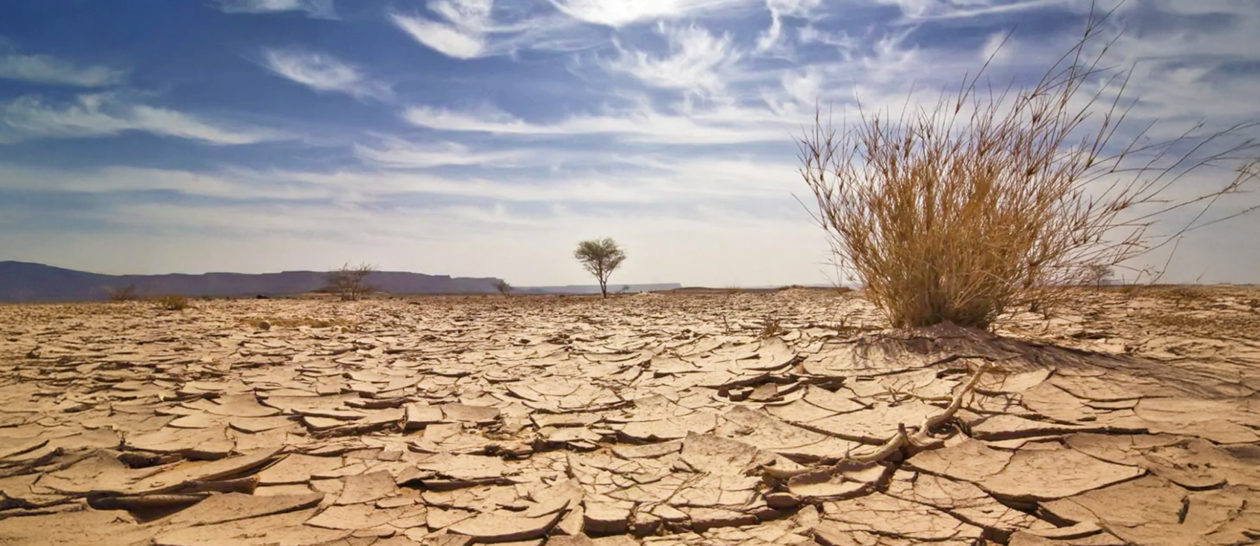 Más de 100 millones de hectáreas en riesgo: el suelo argentino se ...